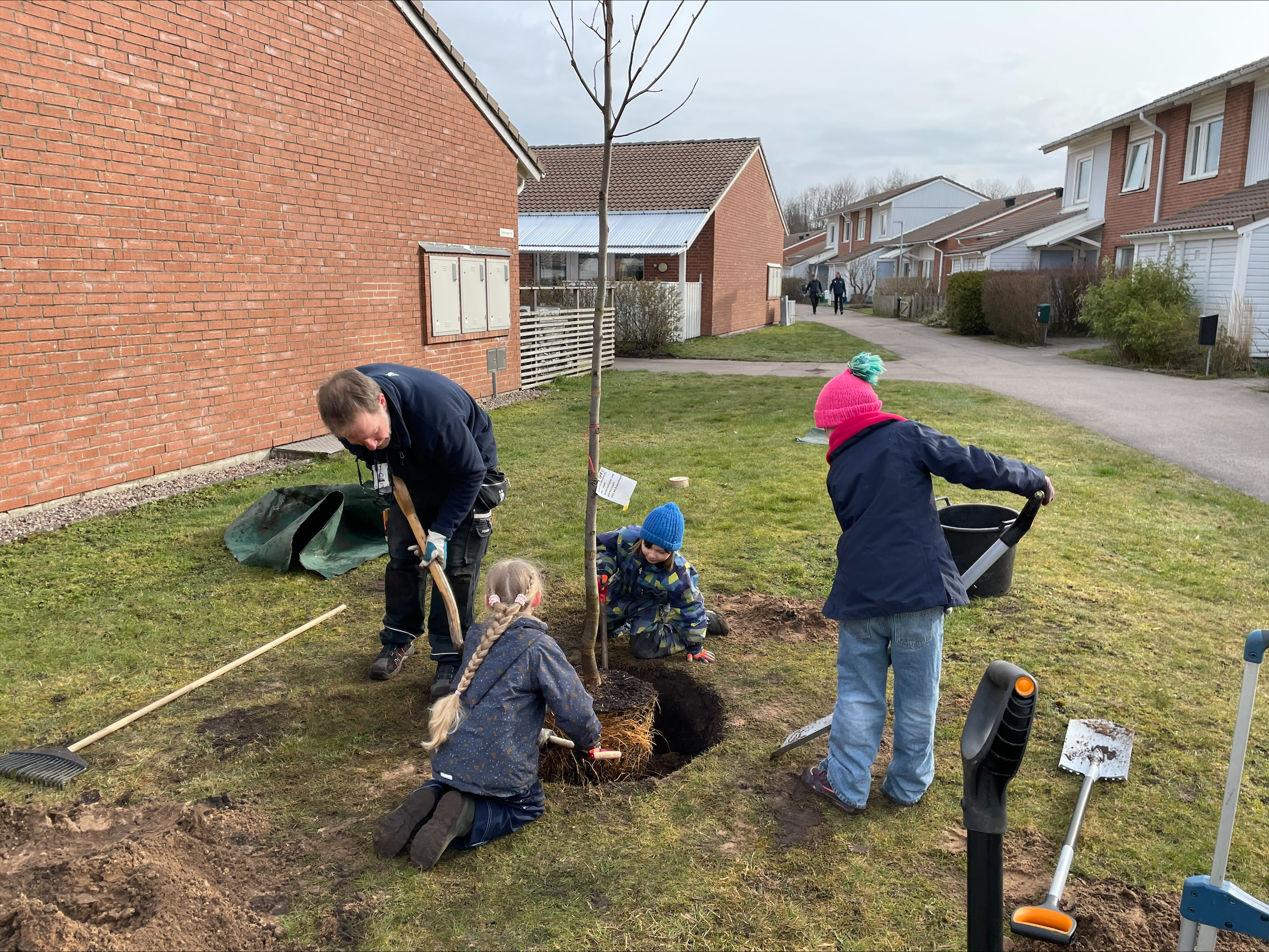 De första av 1000 träd planterades - AB Ängelholmshem